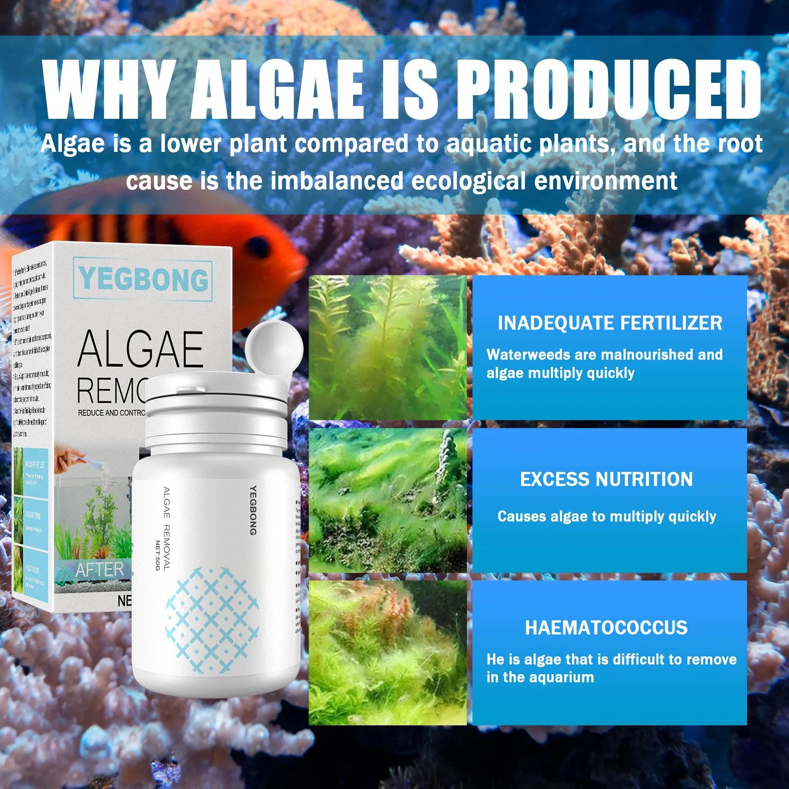 2024 Aquarium Moss Remover Powder Tablets for Algae Removal, Efficient ...