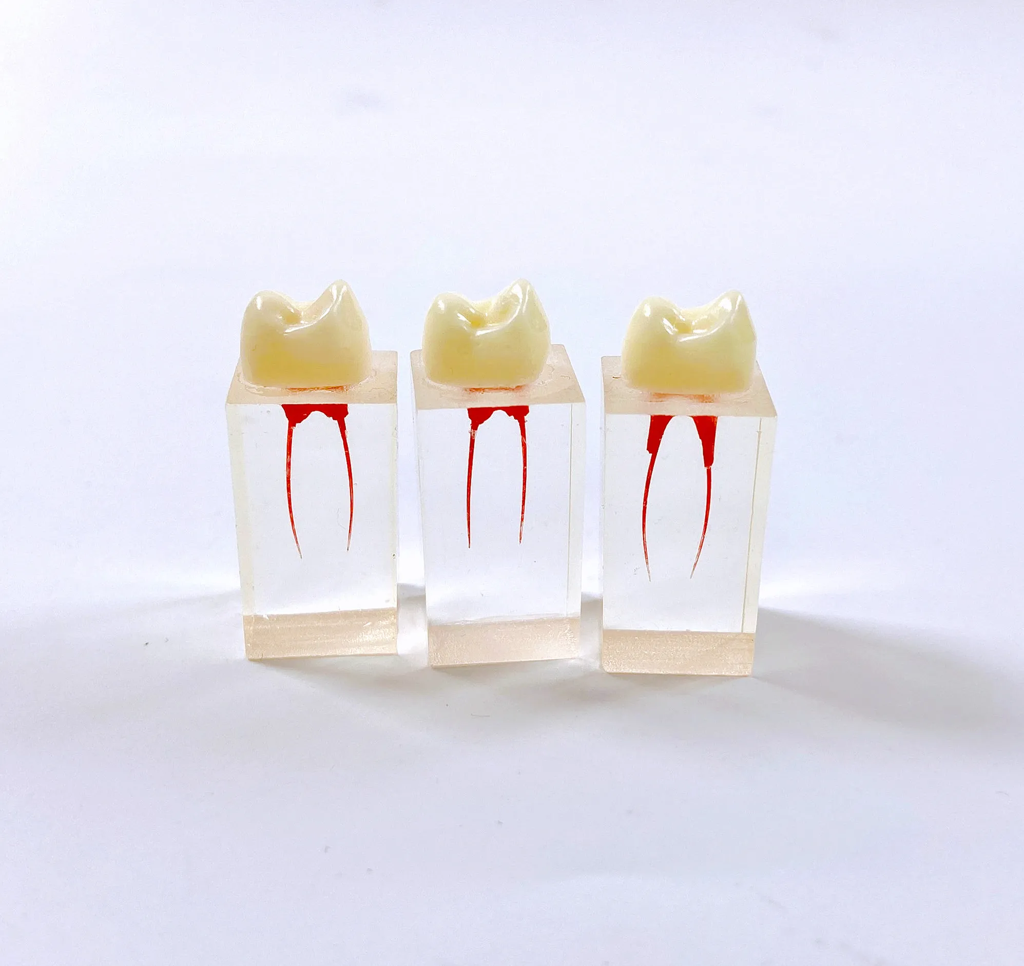DHgate.com:3D Dental Endo Training Block Endodontic Student Teaching ...