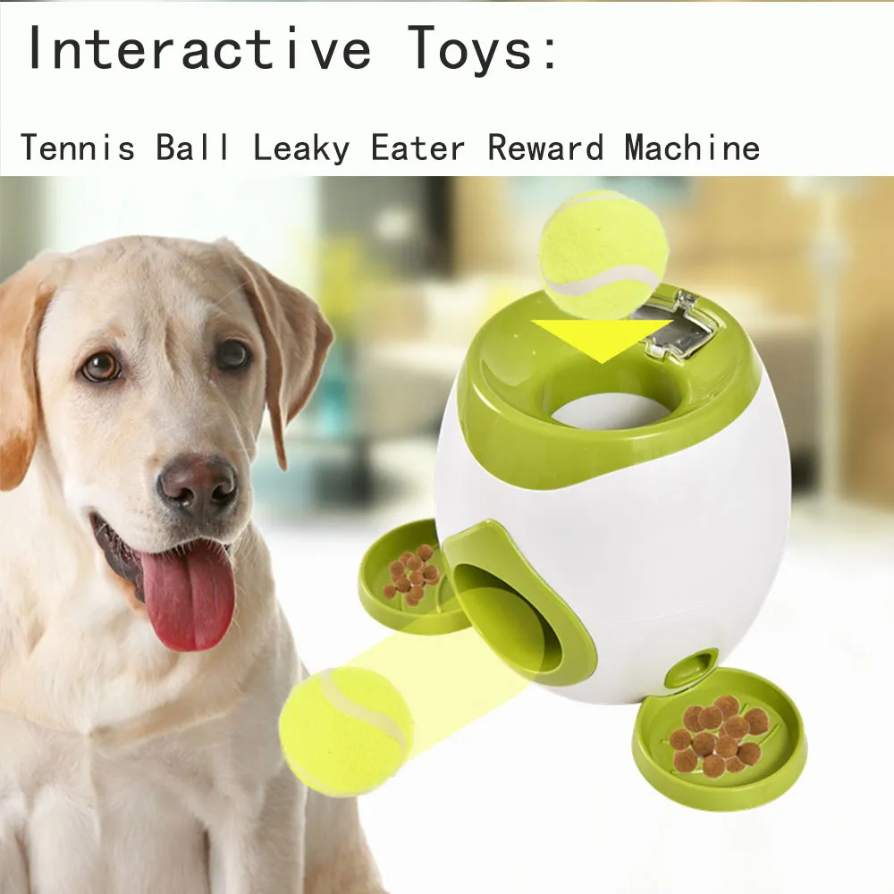 Smart Dog Game Training System With Mesh Ball And Automatic Food ...