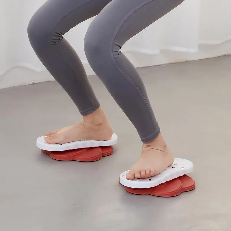 Fitness Twist Board Exercise Balance Board for Full Body Toning and ...