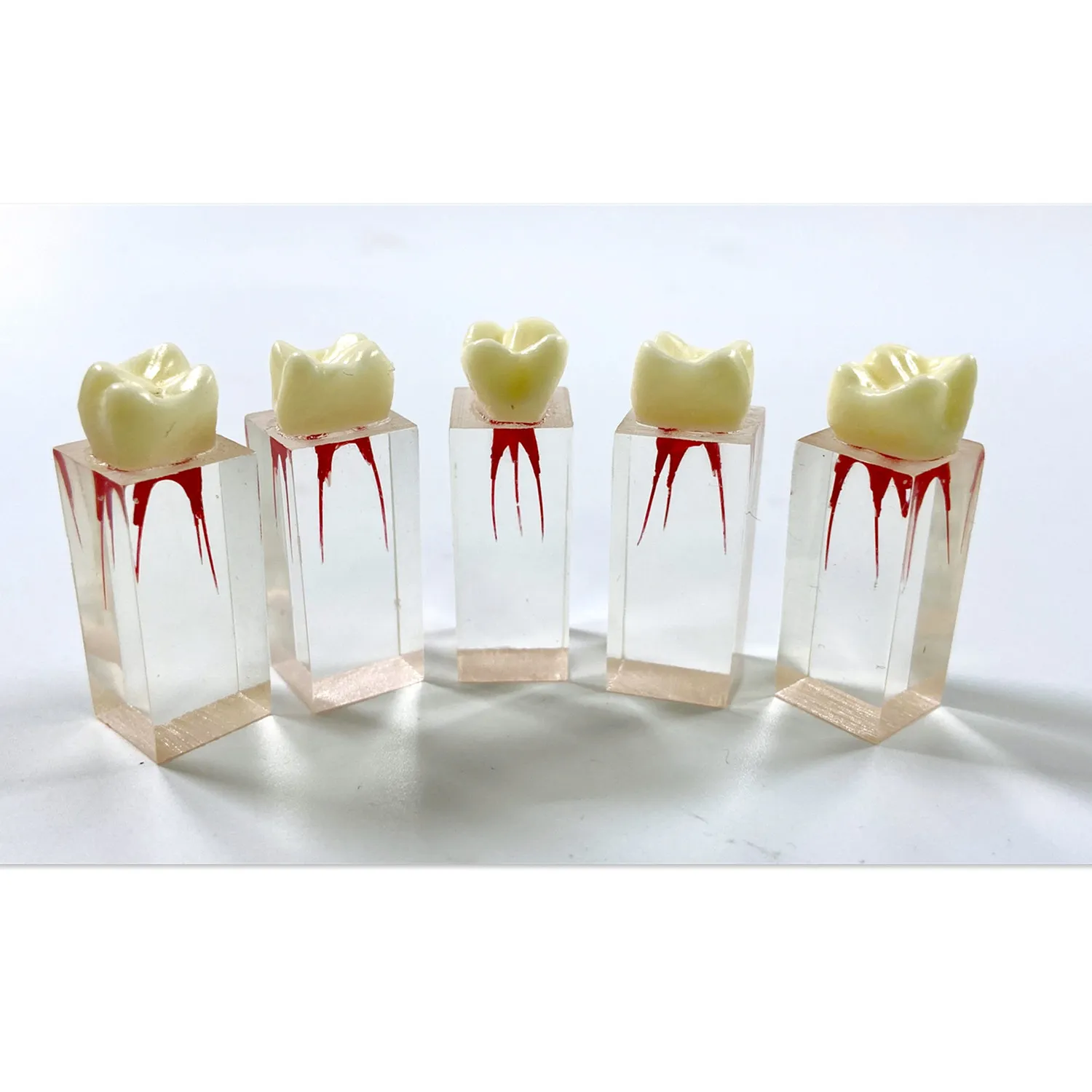 DHgate.com:3D Dental Endo Training Block Endodontic Student Teaching ...