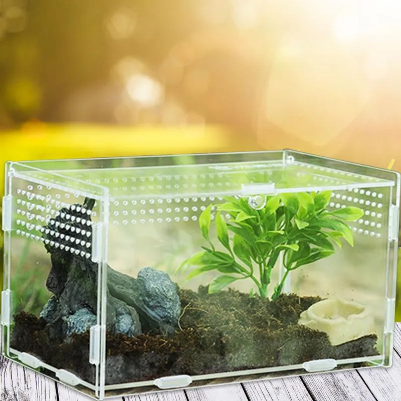 DHgate.com:Transparent Reptile Tank for Amphibians and Tarantulas ...