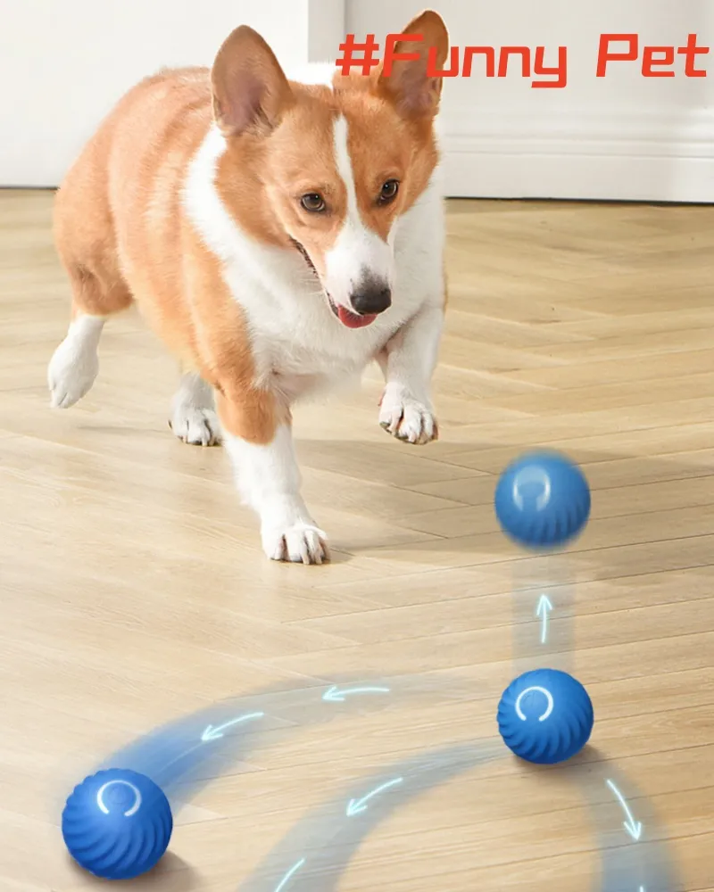 DHgate.com:Interactive Electronic Dog Ball - Rechargeable Bouncy ...