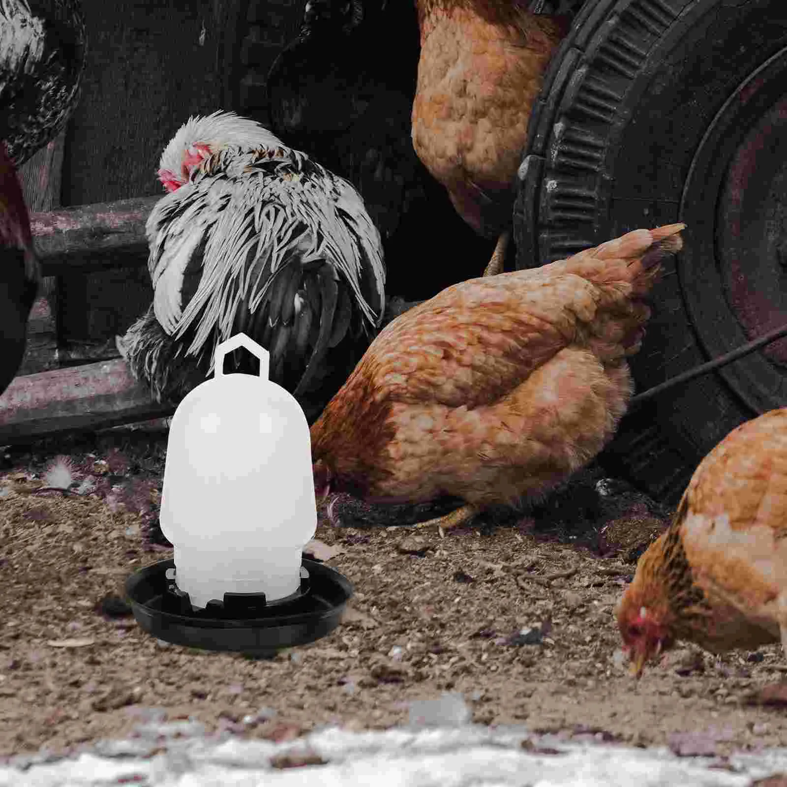 Wholesale Optimized Product Title: Large Capacity Automatic Chicken ...