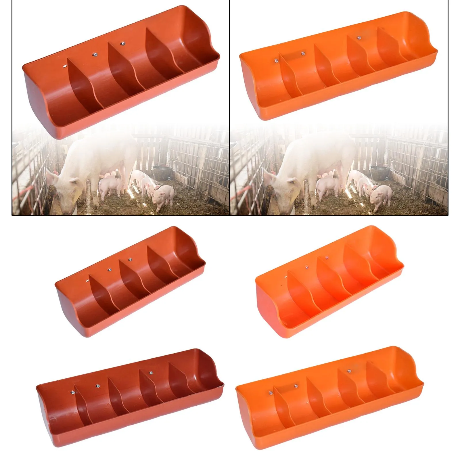 Poultry dog feeding dispenser with Watering Capability