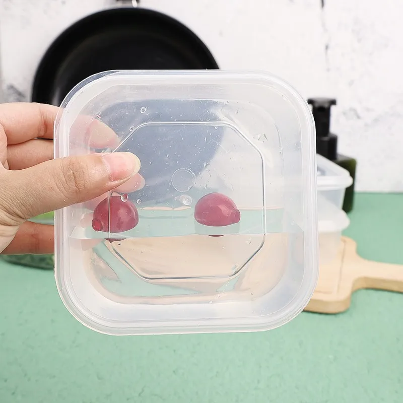 Mini Portable Food Storage Box Small Food Fresh Container with Sealed ...