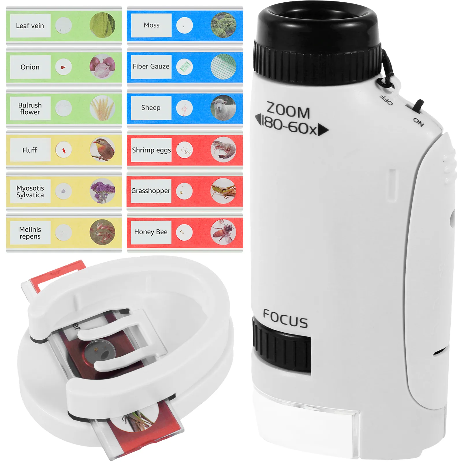 Wholesale Pocket Microscope Kids Science Experiment 60X 180X ...