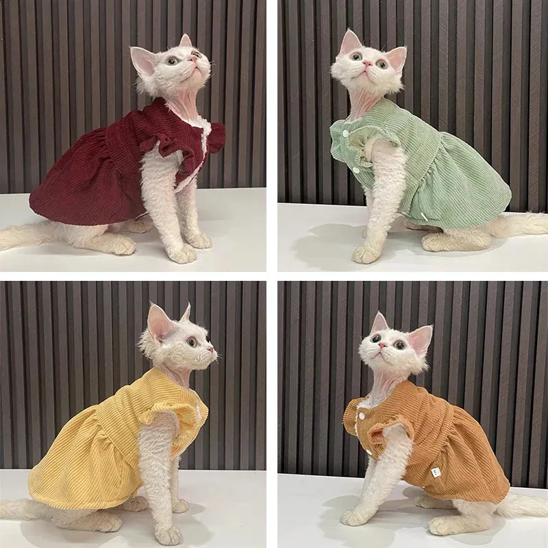 Warm Kitten Hoodie: Soft Wool Pet Clothes for Hairless Cats - Best ...
