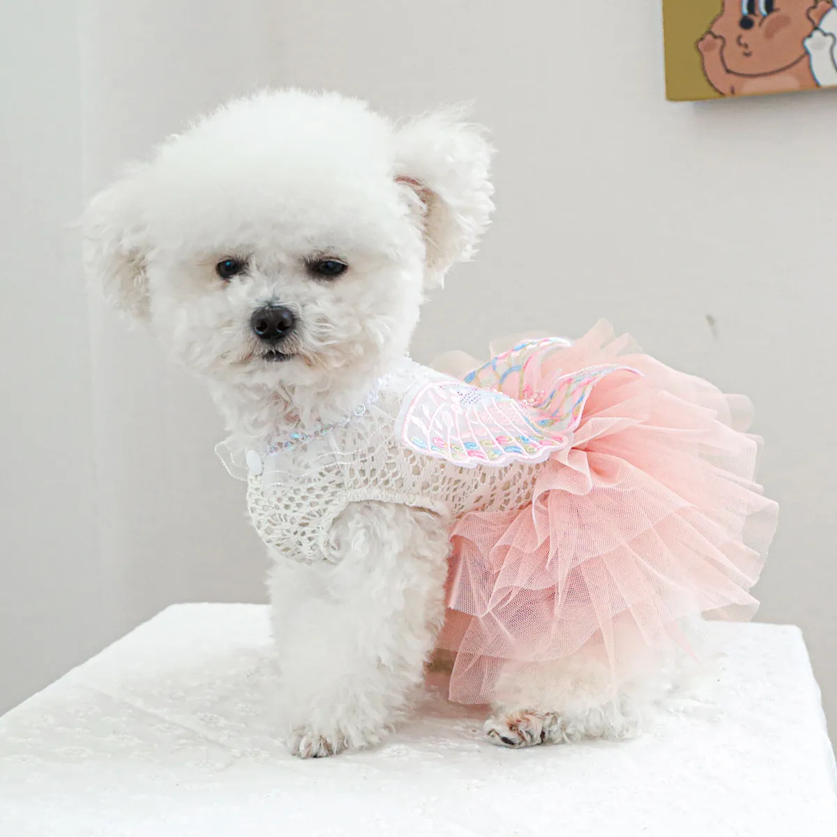 Floral Pet Dress: Premium Cotton Gauze Fairy Style - Shop Now! Best ...