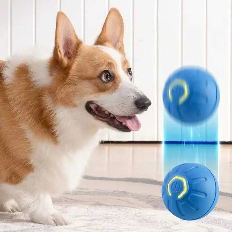 DHgate.com:Interactive USB Rechargeable Dog Toy Ball - Automatic ...