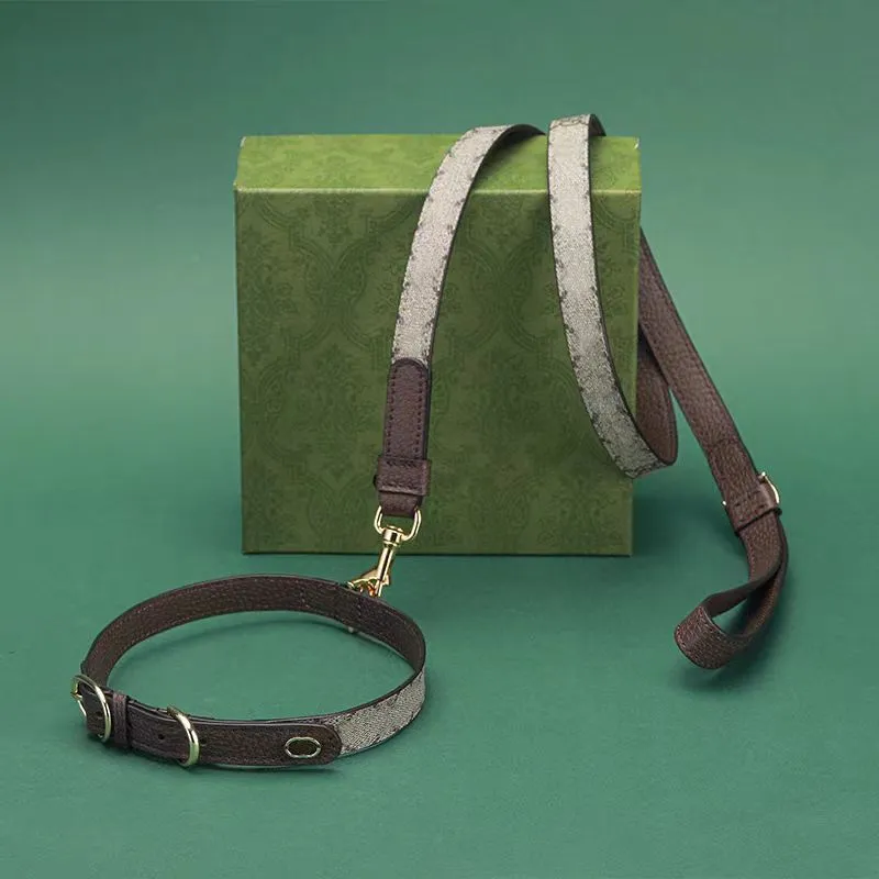 Premium Dog Collar & Leash Set - Matching Design, Ideal for Small ...