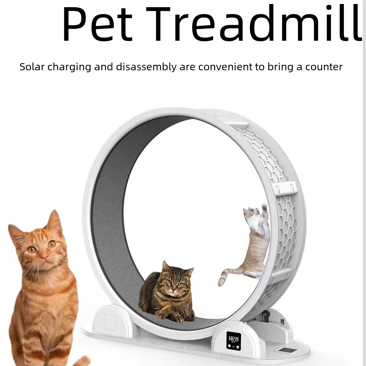 New Cat Treadmill with Sports Cat Climbing Frame & Scratch Board, Solar ...