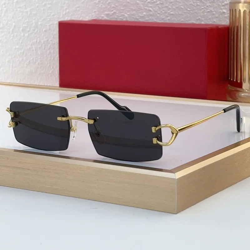 Designer Frameless Sunglasses For Women And Men, Rectangular Titanium ...