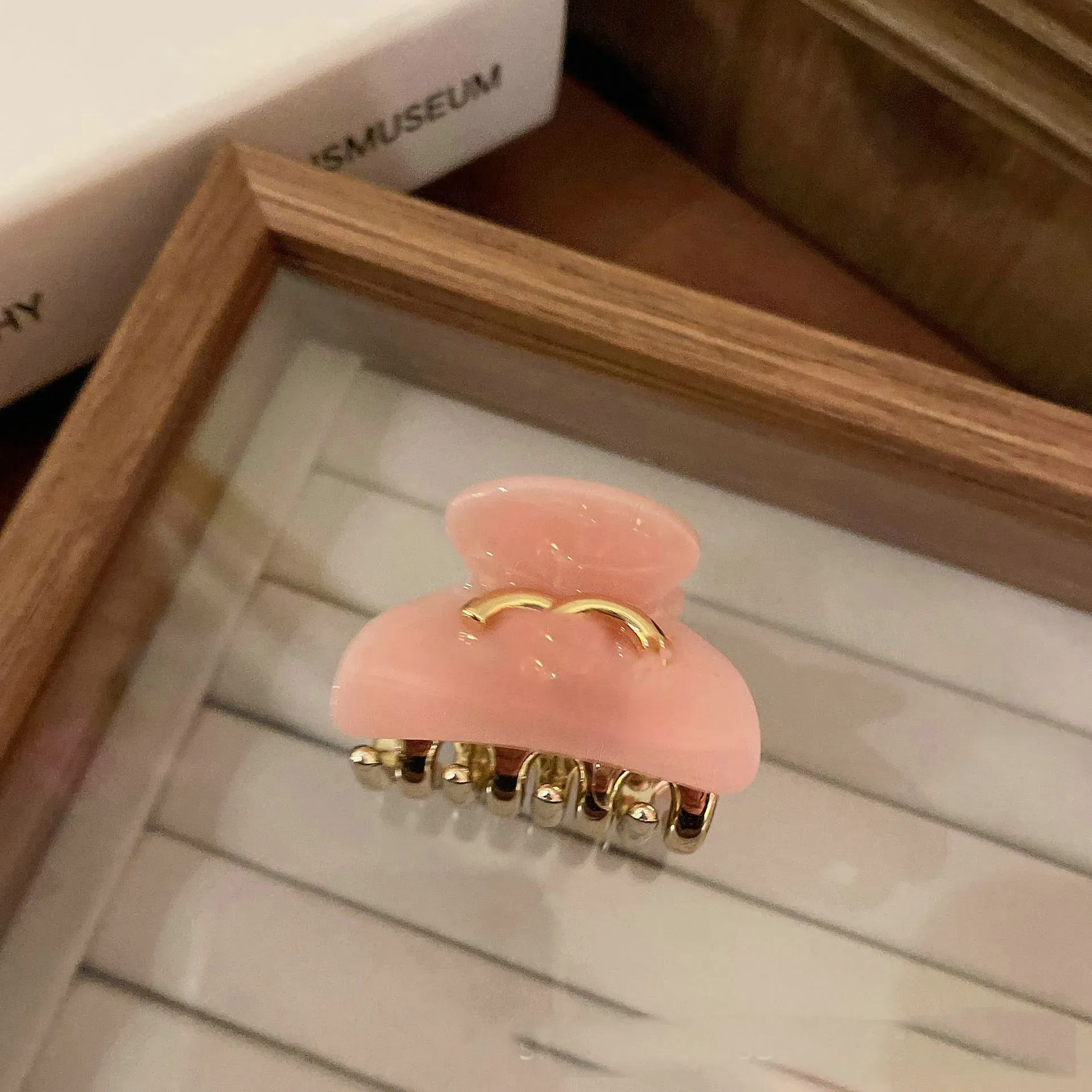 Top Fashion Small Hair Claw Clips For Women Designer Letter Hair ...