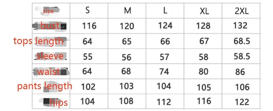 Tracksuit Set Women Wool Blend Bat Sleeved Top and Skinny Long ...