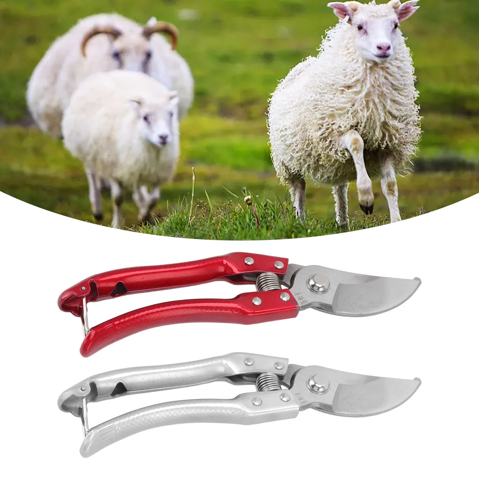 Wholesale Animal Shears Dogs Heavy Duty Goat Hoof Trimmer Pig Trotter Shears Pliers Animal Toe ...