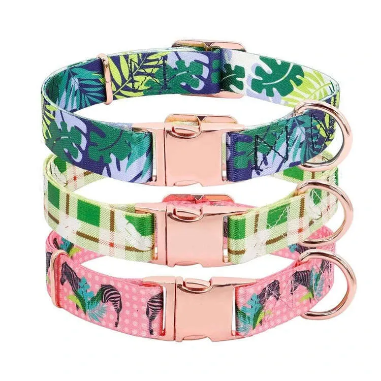 Premium Quality Colourful Dog Collars: Durable & Stylish Pet Collars ...
