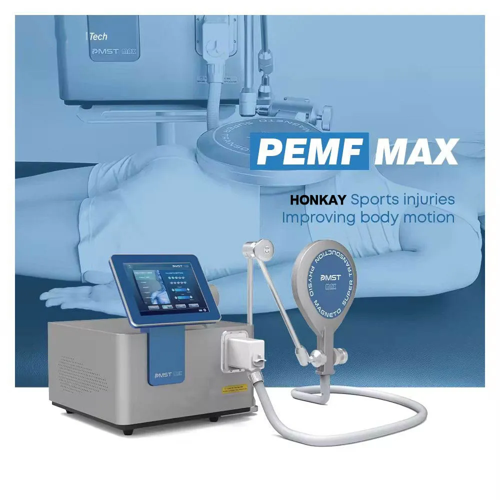 Teala High Wave Energy Double Channels Pemf Magnetic Pulse Therapy ...