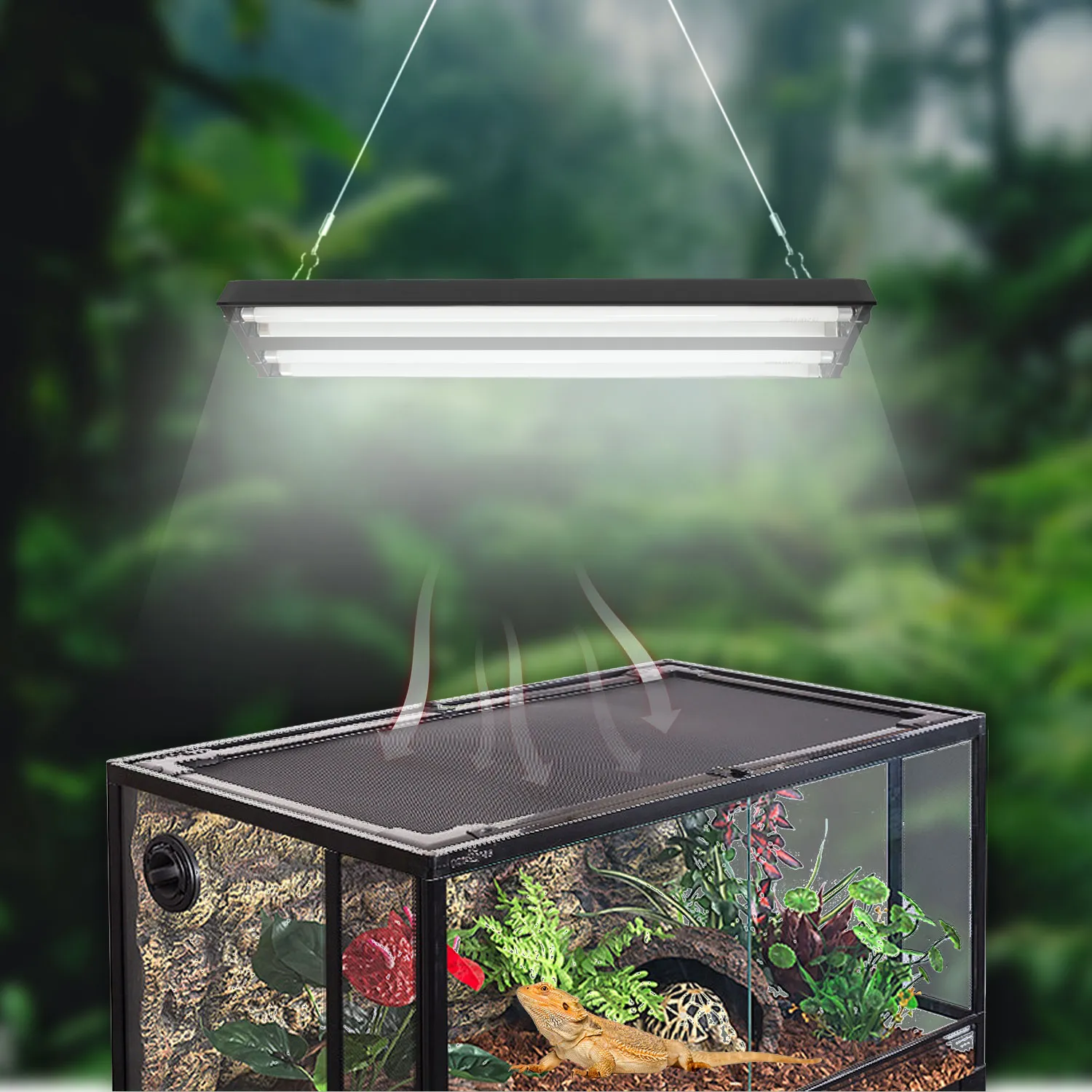 Rectangle Reptile Heat Lamp Fixture with Full Spectrum Dual T5 ...