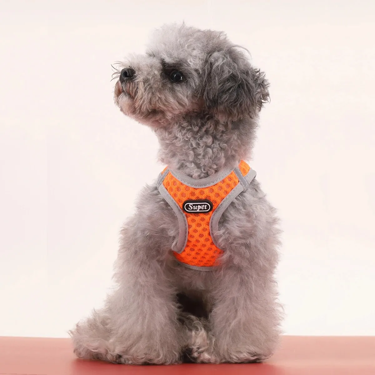 Mesh Step-In Dog Harness for Small & Medium Breeds - Breathable ...