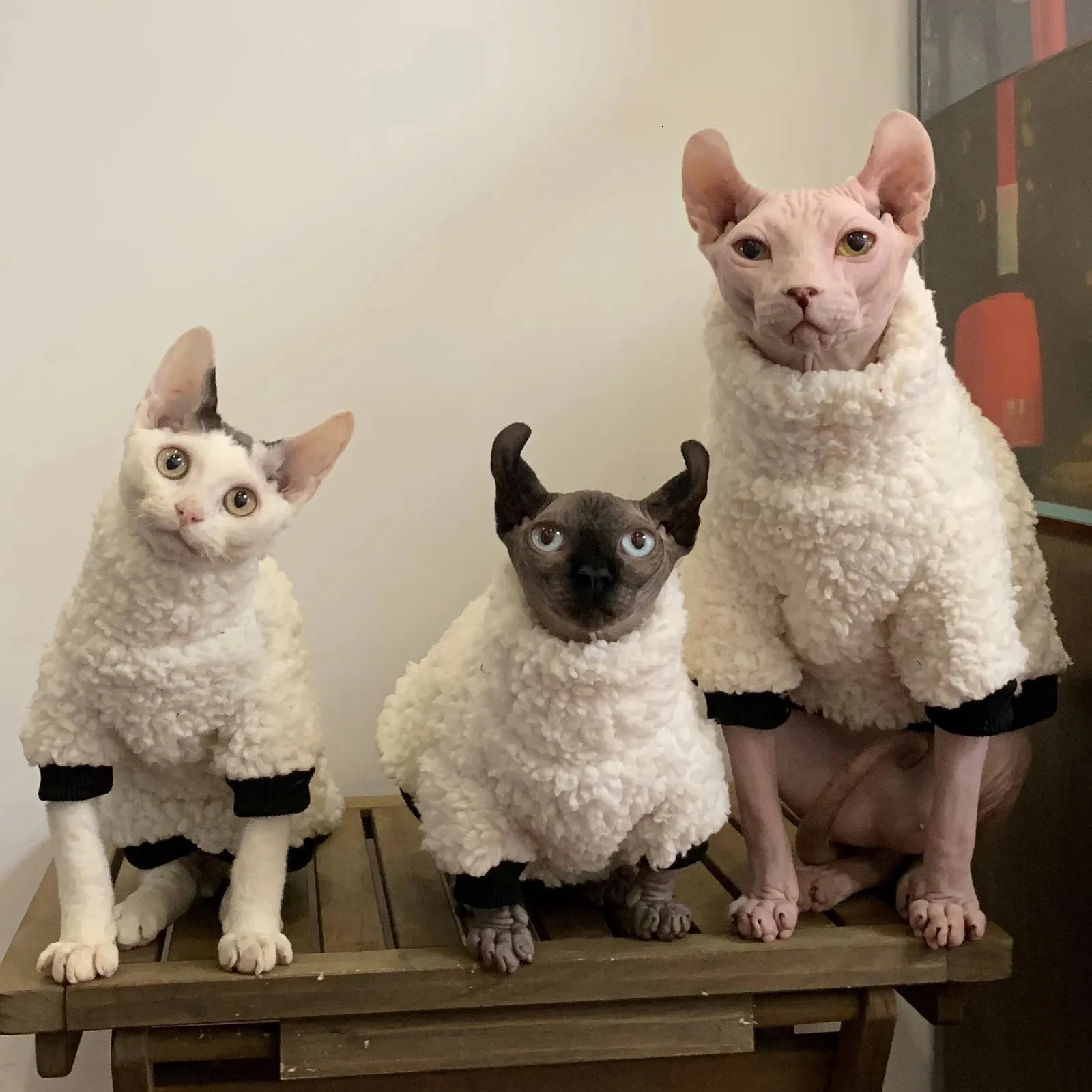 Double-Sided Cashmere Hairless Cat Sweater - Warm Sphinx Cat Jacket for ...