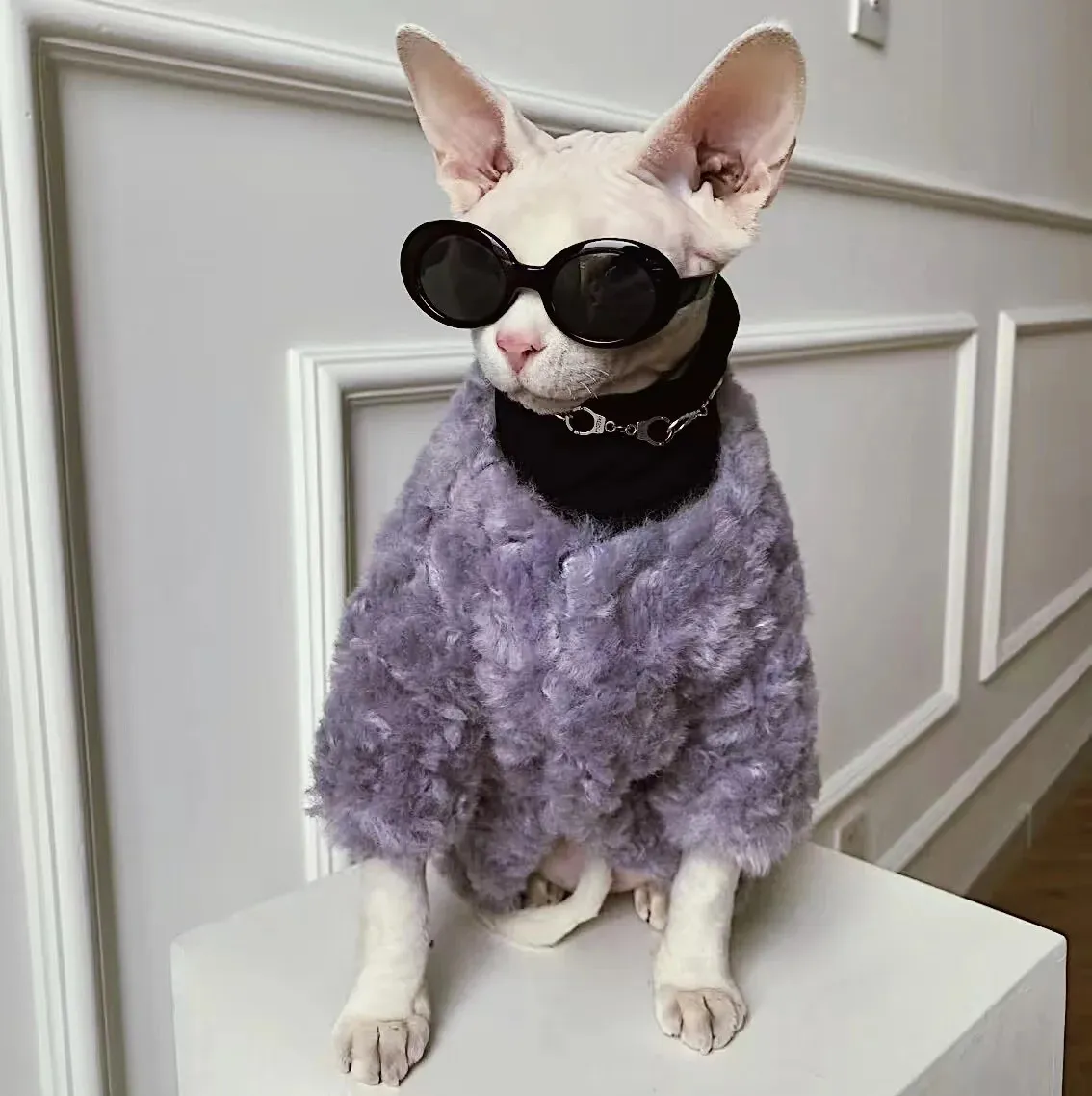Devon Rex Cat Sweater - Thick Plush Winter Coat, Sphinx Kitten Pullover ...
