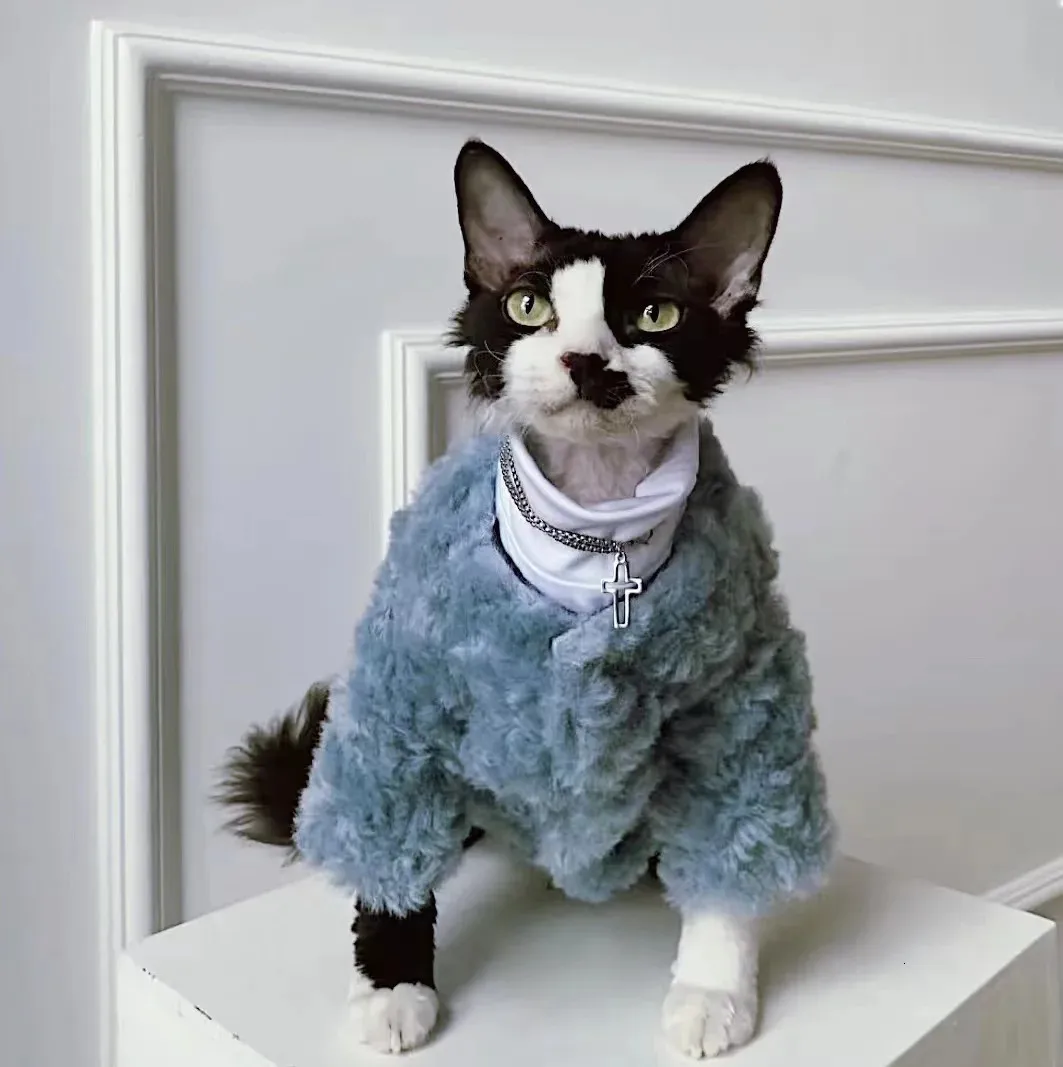 Devon Rex Cat Sweater - Thick Plush Winter Coat, Sphinx Kitten Pullover ...