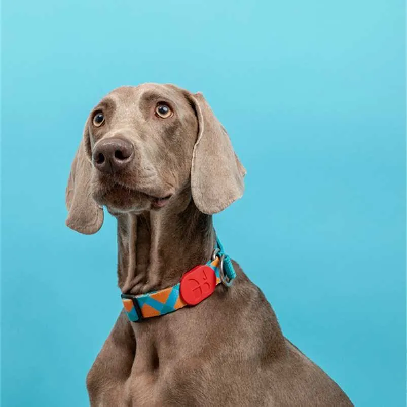 Adjustable Plaid Polyester Dog Half P Collar with Reflective Ring ...