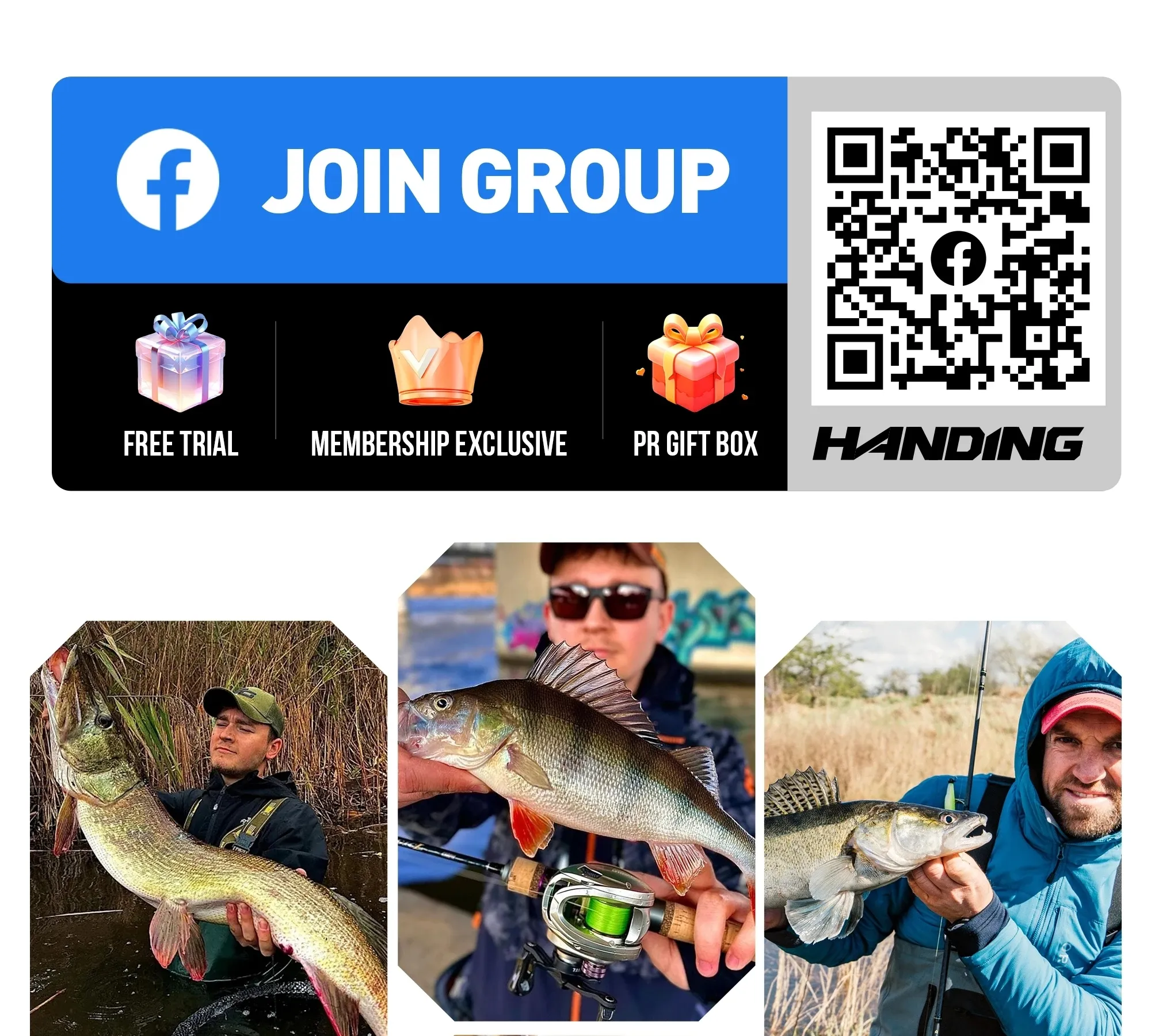 تسليم النجوم قضيب Ultralight Rod ، Fuji A Ring Guides ، Toray 40 Ton+30 ...