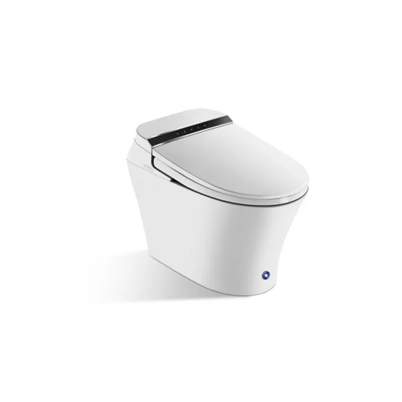 Modern One Piece Smart Toilet: Elongated Design With Bidet, Heated Seat ...