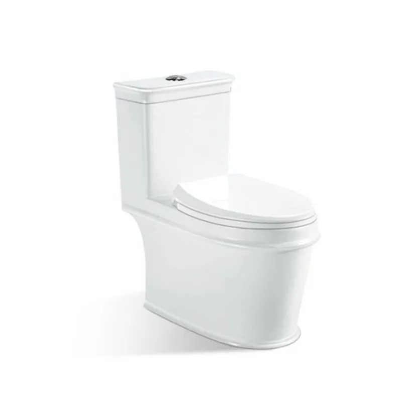 Large Caliber Ceramic Toilet: Super Swirl Flush, Silent & Odor-Proof ...