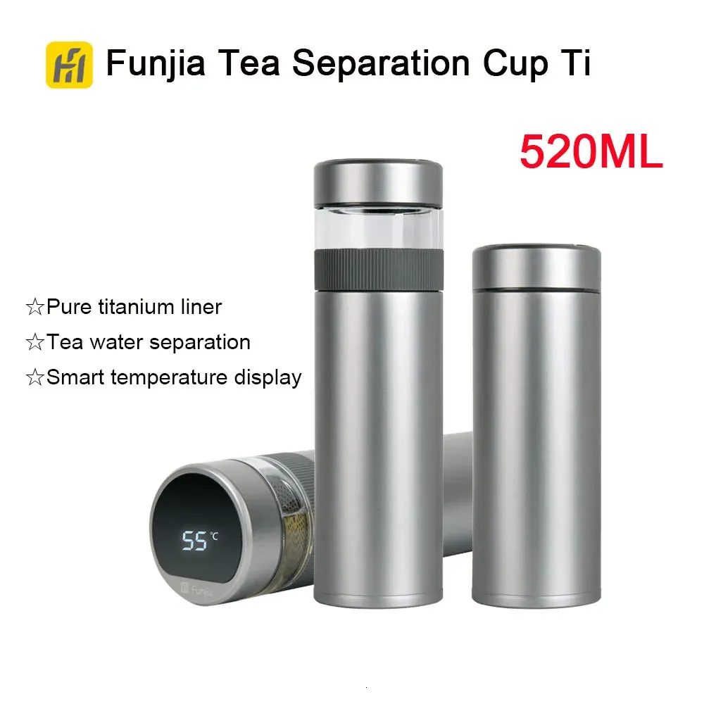 Glass Cup With Bamboo Lid Temperature Display Tea Separator Large Tea ...