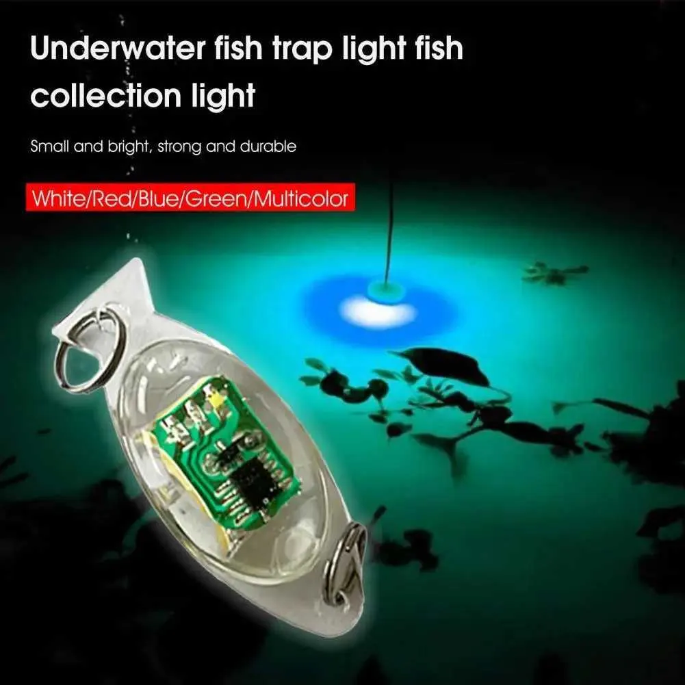 Waterproof LED Fish Lamp Mini Fishing Lure - Deep Drop, Squid Bait ...