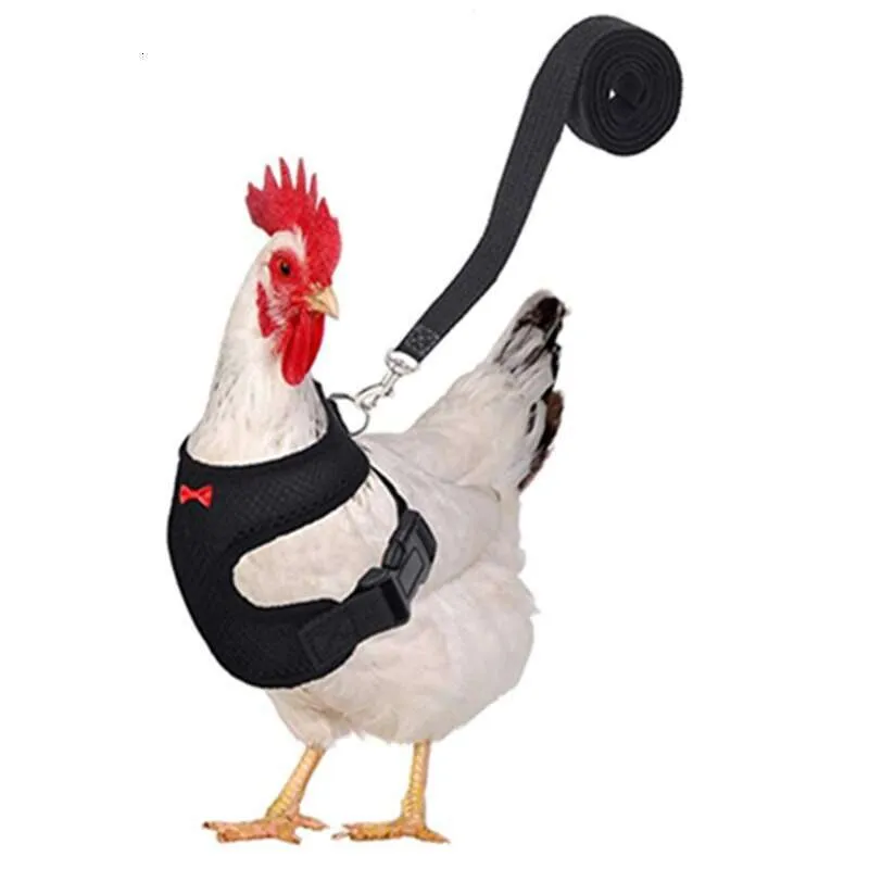 Adjustable Breathable Pet Vest Harness Leash for Small Dogs - Duck ...