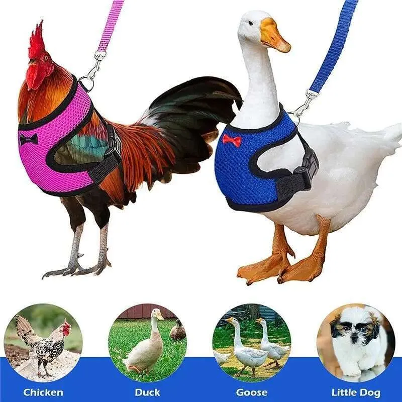 Adjustable Breathable Pet Vest Harness Leash for Small Dogs - Duck ...