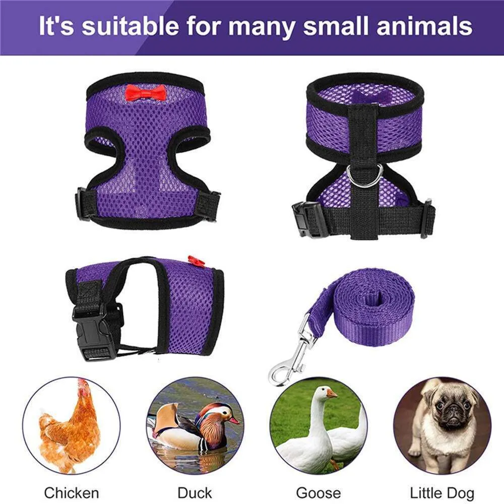 Adjustable Breathable Pet Vest Harness Leash for Small Dogs - Duck ...