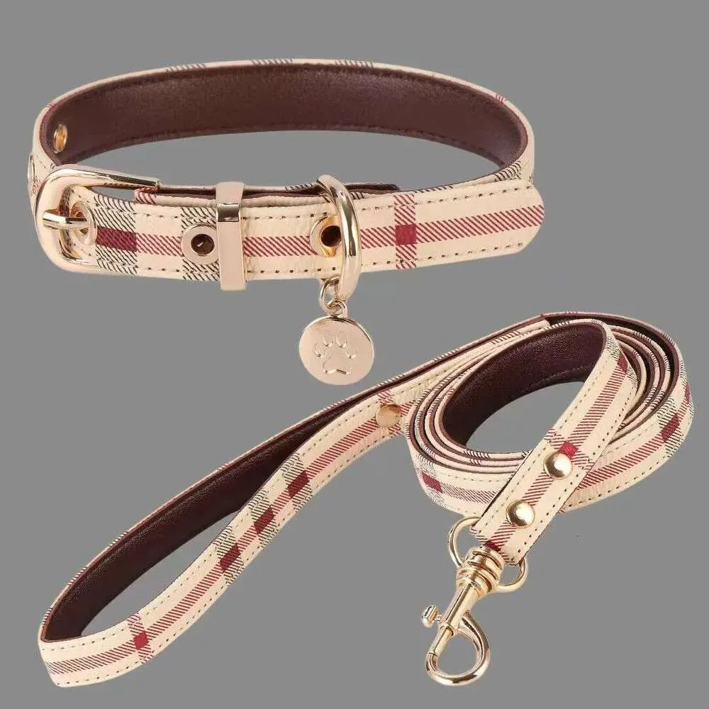 Adjustable Dog Collar with Leash Set: Durable Pet Neck Belt Traction ...