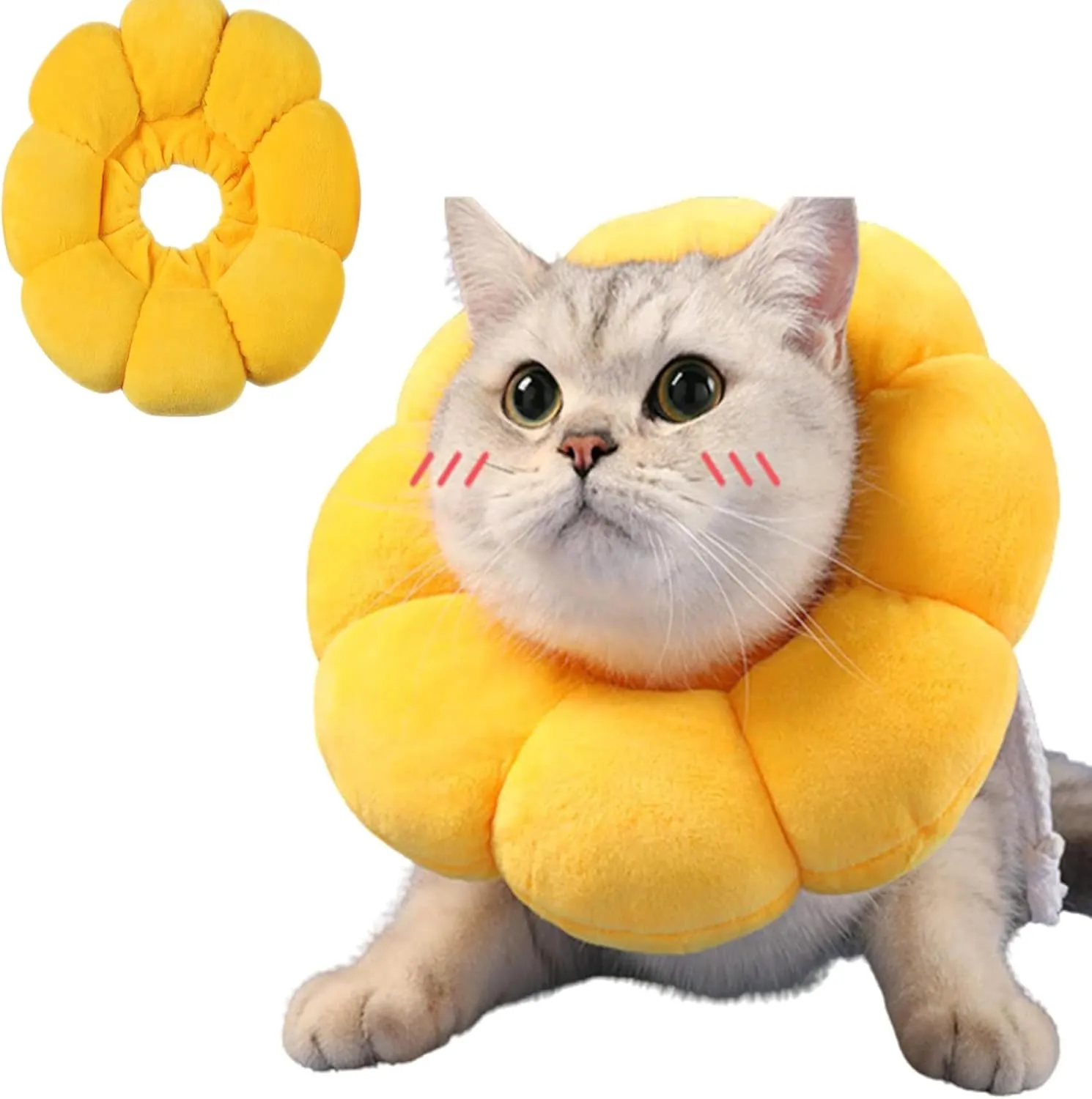 Adjustable Cat Recovery Collar: Soft Elizabethan Cone for Kittens ...