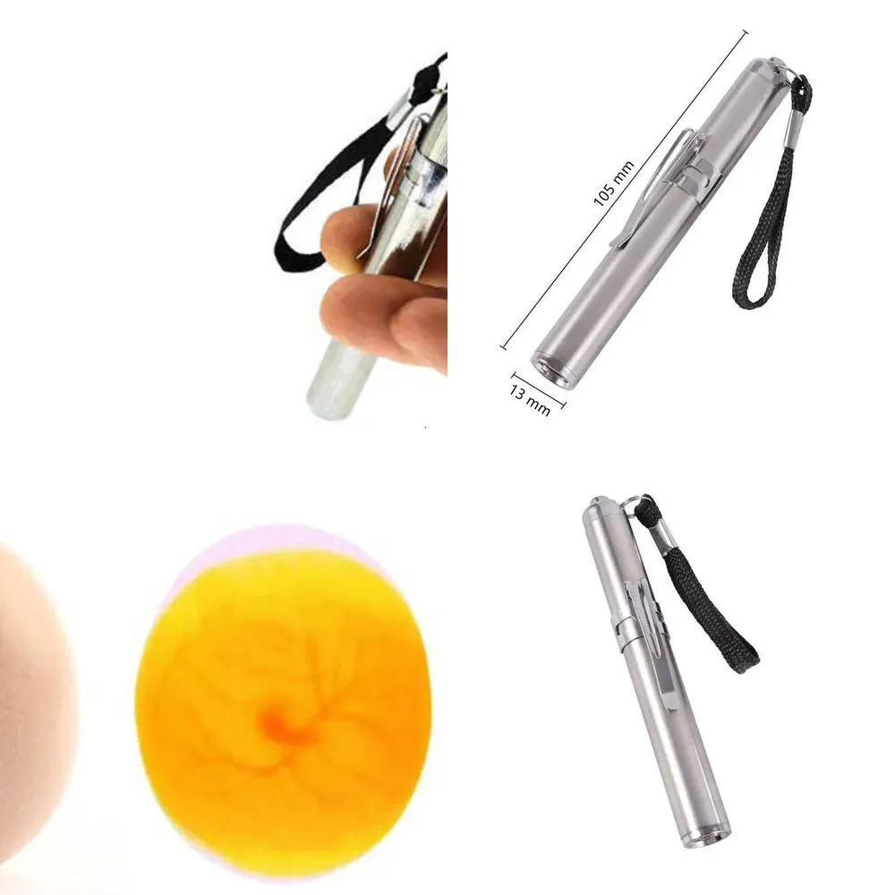 Egg Candling Lamp: LED Cold Light Egg Tester Tool For Embryo ...