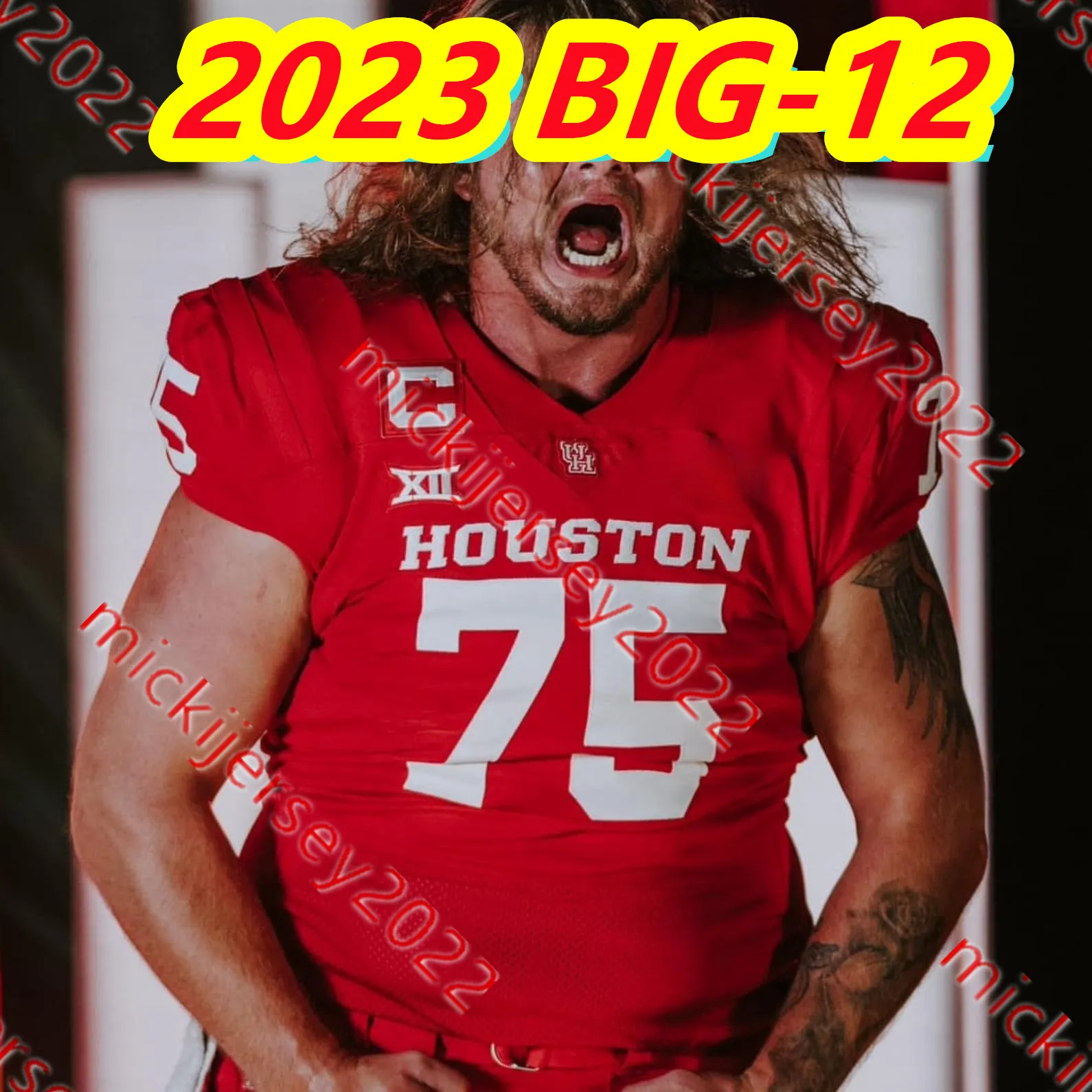 Custom Houston Cougars Football Jersey, 2023 BIG 12 Tank Dell Clayton ...