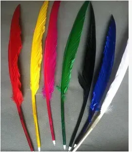 Quill Pen And Ink Ballpoint Pen Set: Decorative DIY Pens For Wedding ...