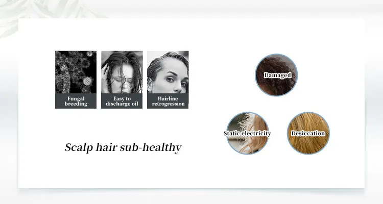 Professional Hair & Scalp Analyzer with Microcurrent Massager | Hair ...