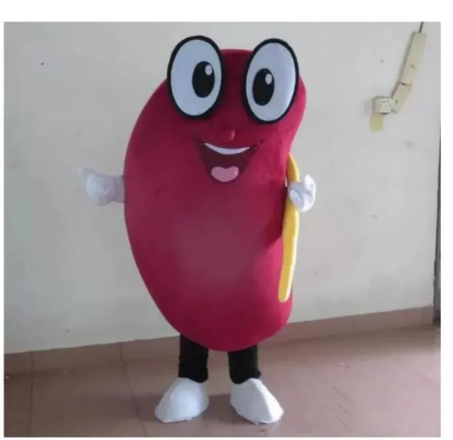 Happy Healthy Kidney Mascot Costume For Adults Fun... From ...