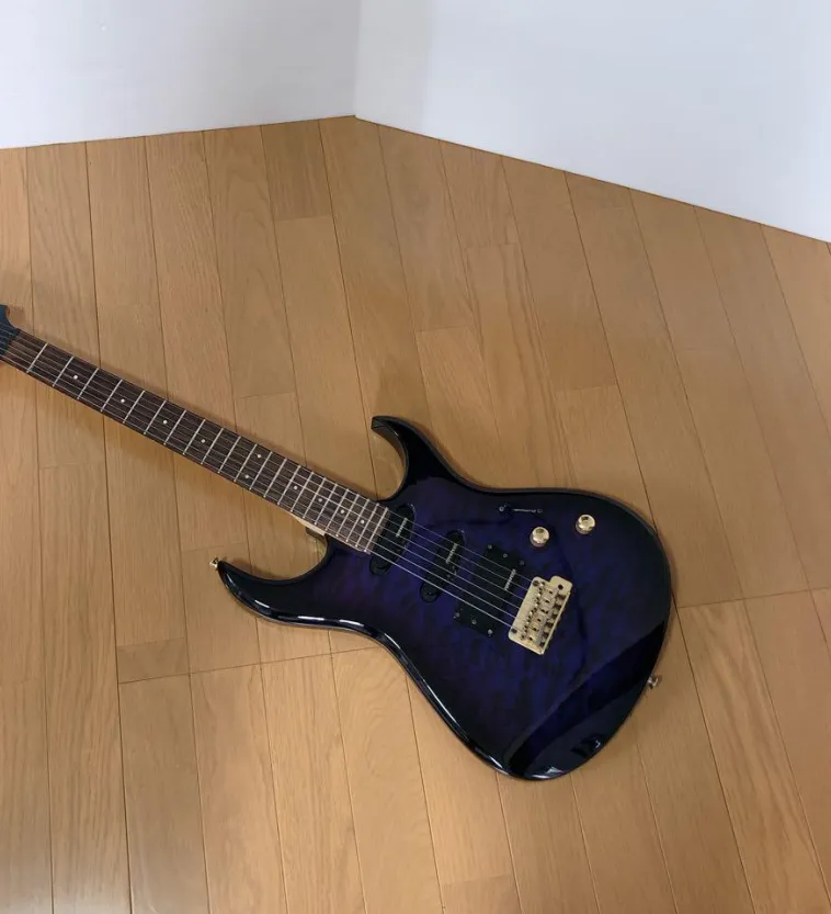 Fgz 420 Electric Guitar AS Same Of The Pictures From Musicwave, $329.65 ...