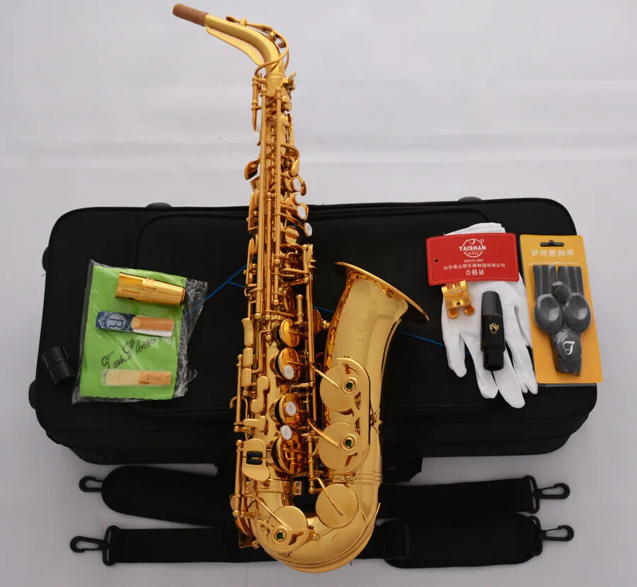 Professional Golden Alto Saxophone - New Eb Sax, Perfect for Beginners ...