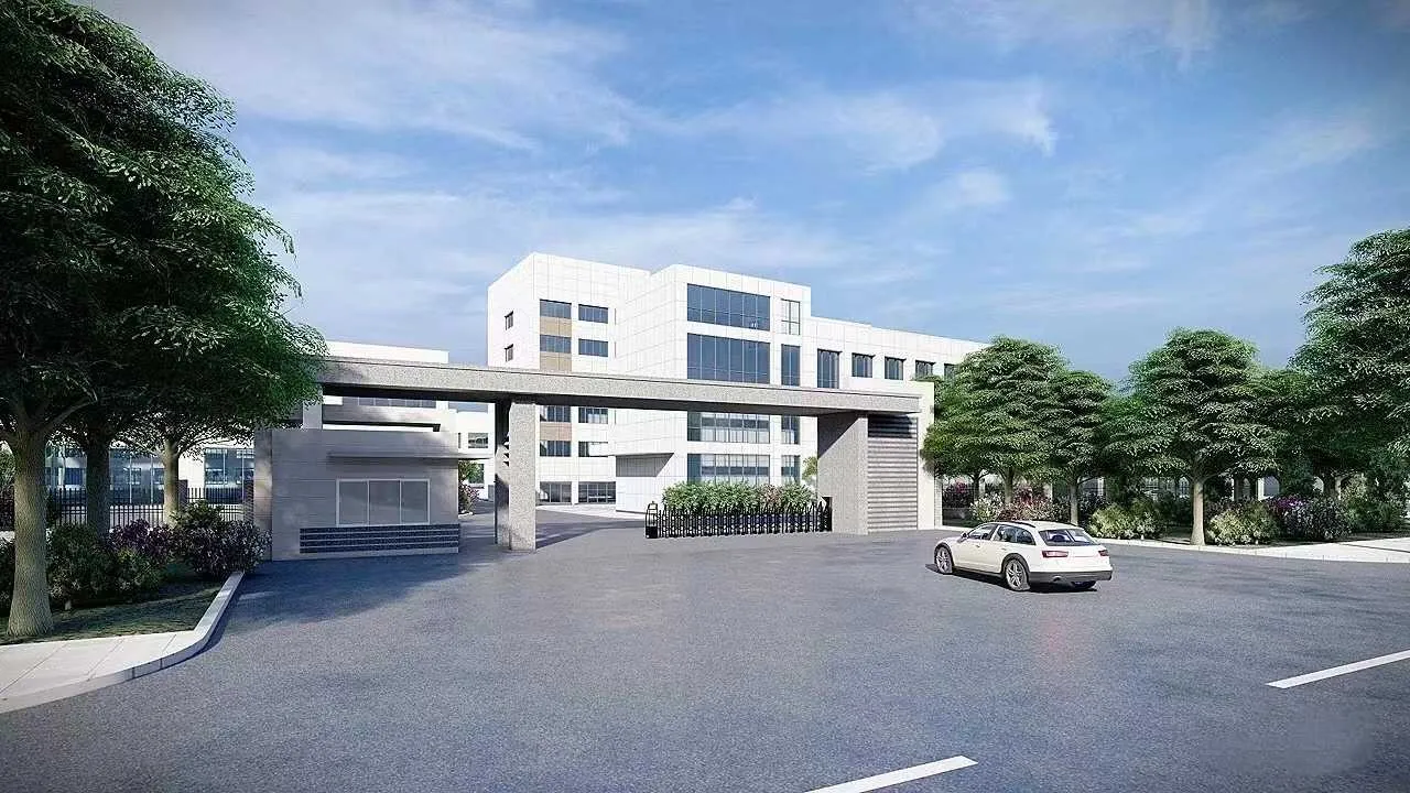 Paneraii Super Diving Luminous Seagull Timex Watches For Men Fully ...