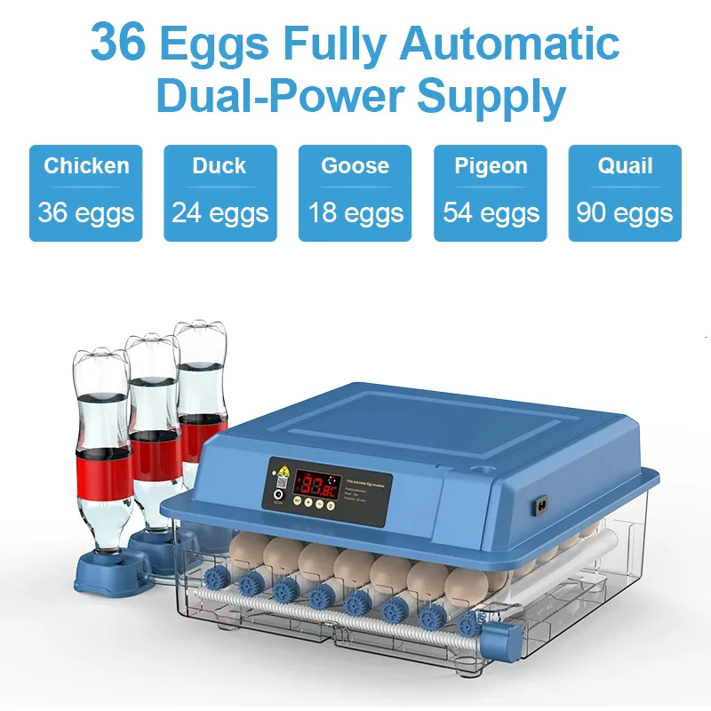 DHgate.com:Automatic 36/24 Egg Incubator with Brooder, Farm Equipment ...