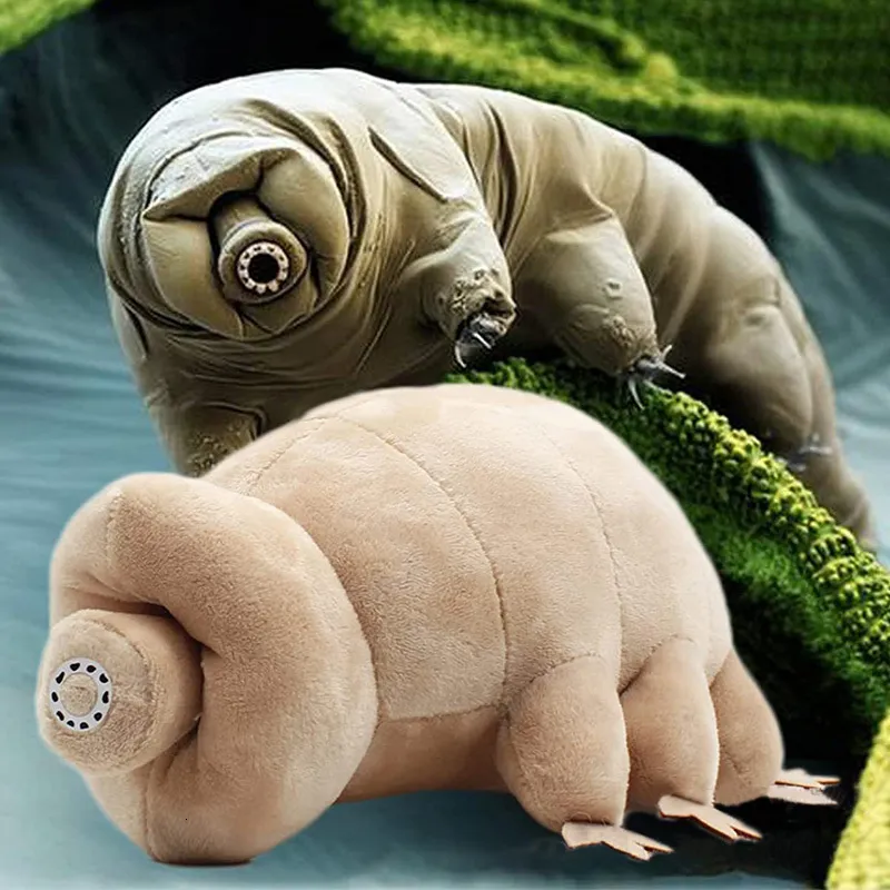DHgate.com:Plush Tardigrade Stuffed Animal, 25cm Water Bear Plush Toy ...