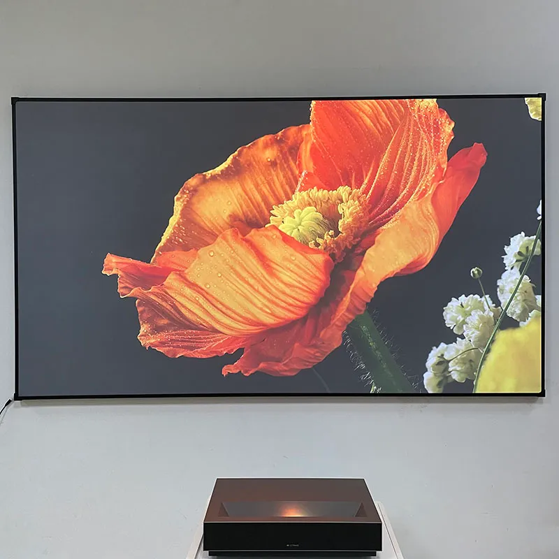 ALR Projection Screen Ambient Light Rejecting T... From Hrlbeauty02 ...
