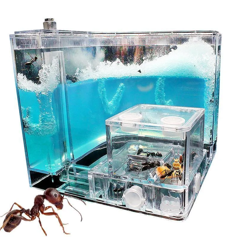 Ant Farm Habitat: Observation Maze for Kids - Educational Science Kit ...